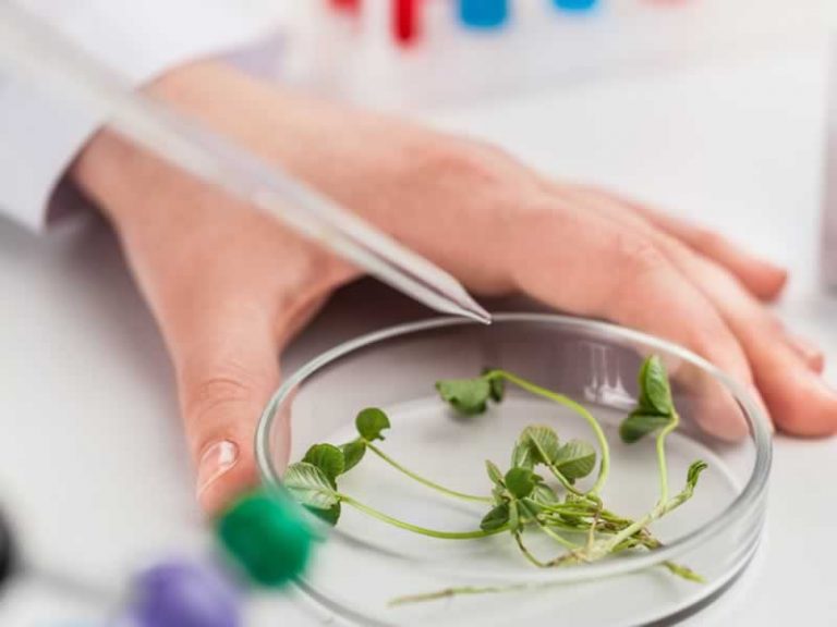 Master's programs | Graduate Admissions