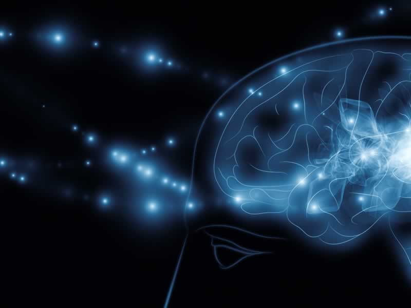 Cognitive Science - Graduate Studies